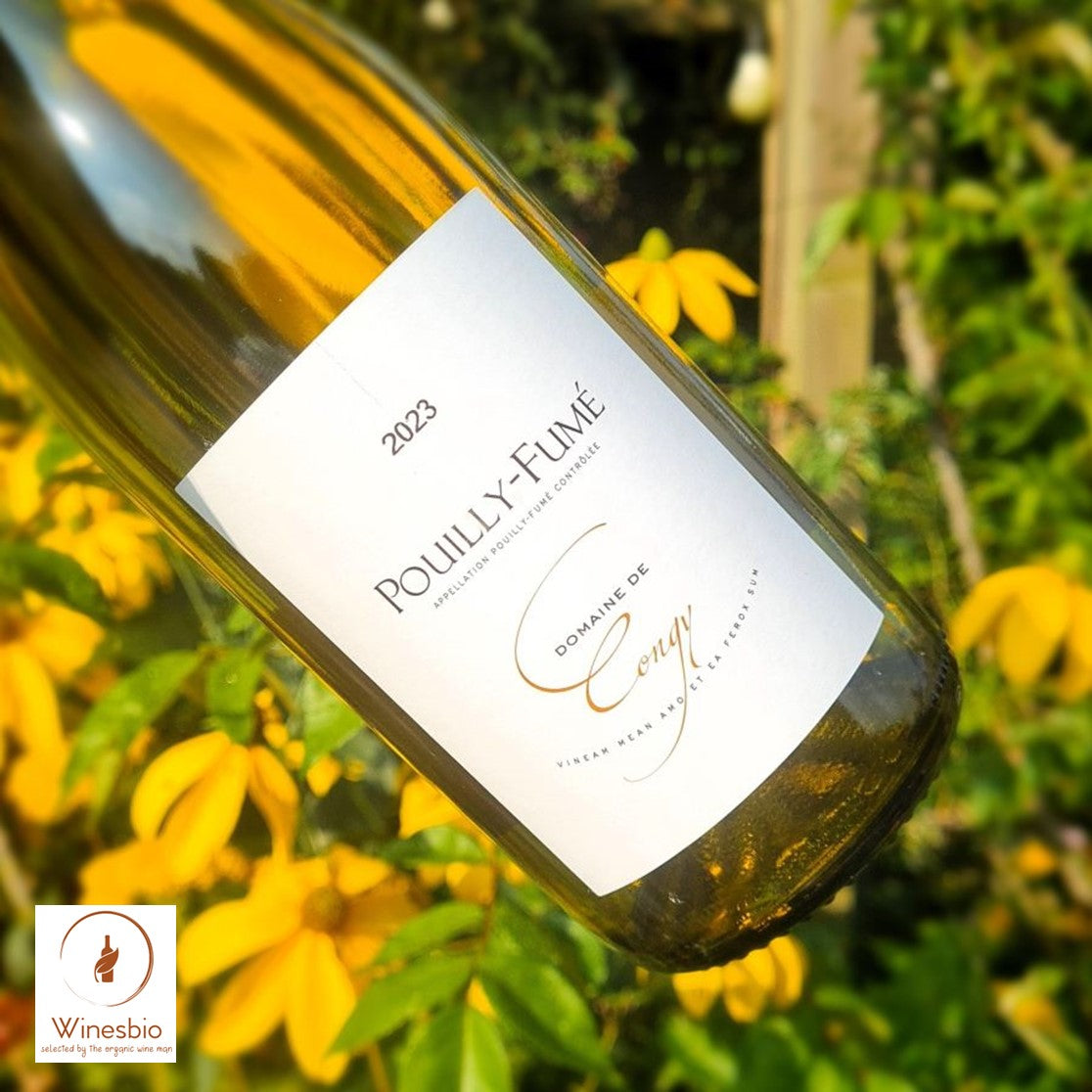 Domaine de Congy Pouilly-Fumé 2023 white wine — Winesbio