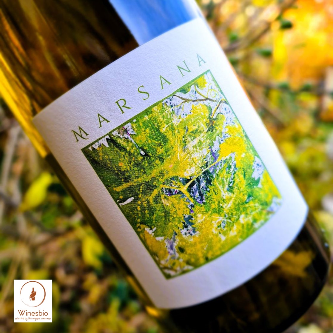 Domaine Les 4 Vents Marsana 2023. — Winesbio