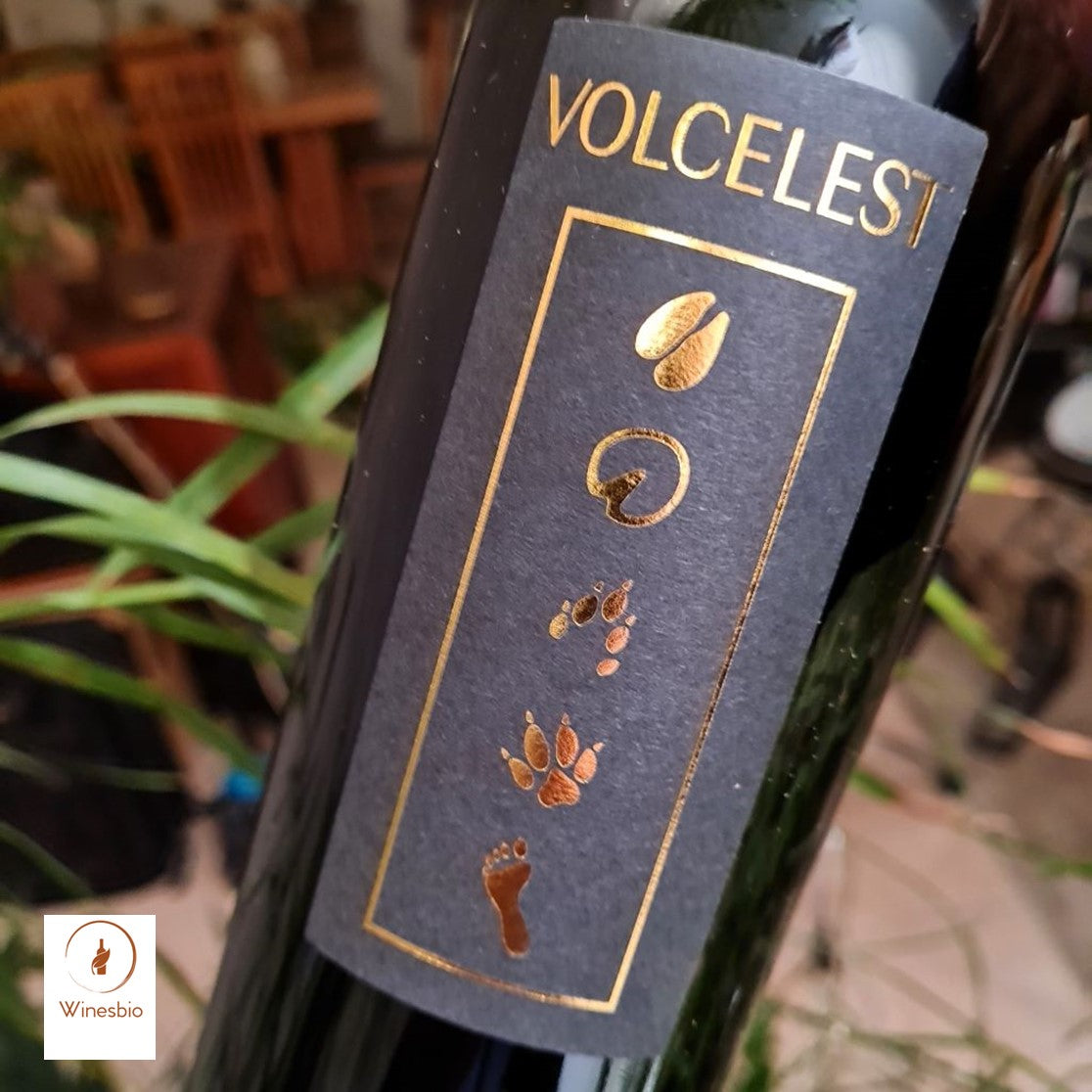 Vignoble Millaire Volcelest Blanc 2021 witte wijn biodynamische winesbio — Winesbio