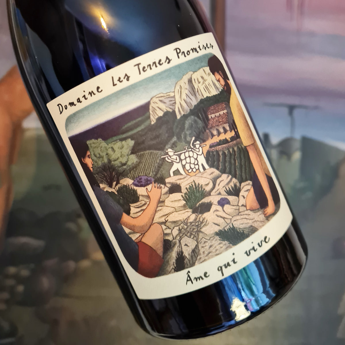 Domaine Les Terres Promises Ame qui vive 2021 — Winesbio